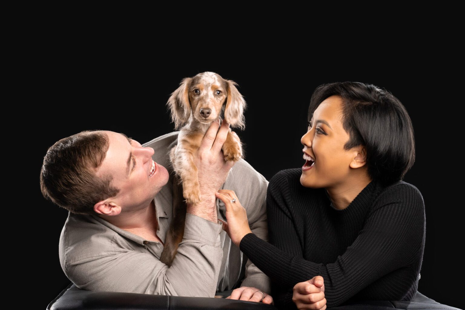 What to Expect During a Luxury Pet Photography Session - Chicago family ...